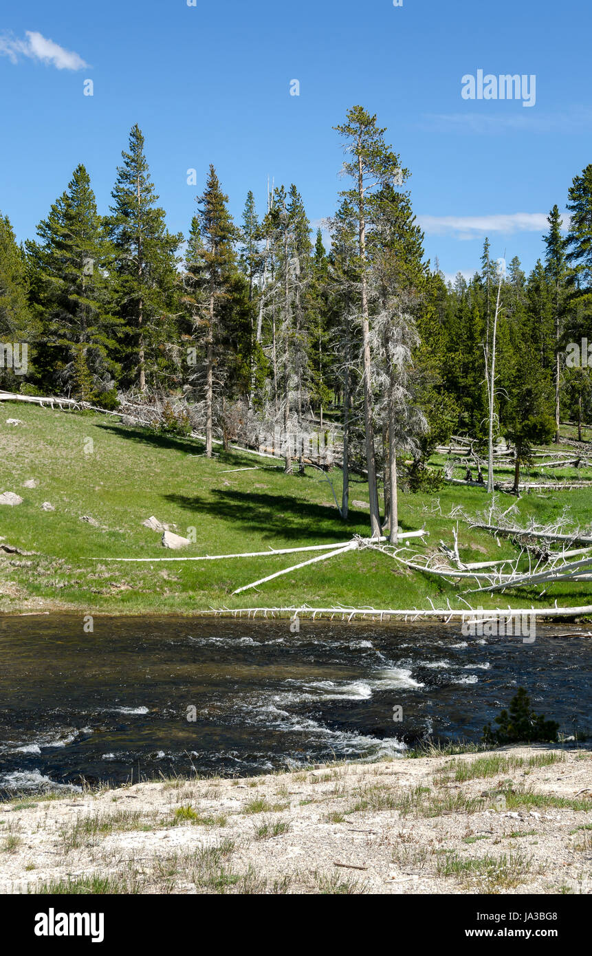 tourism, steam, environment, enviroment, tree, national park, tourism ...
