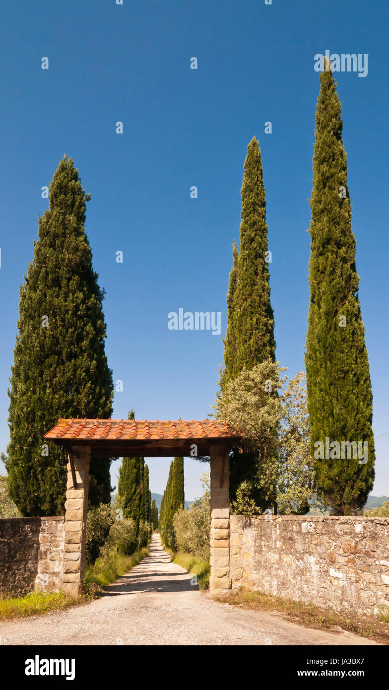 goal, passage, gate, archgway, gantry, tuscany, cypresses, path, way ...