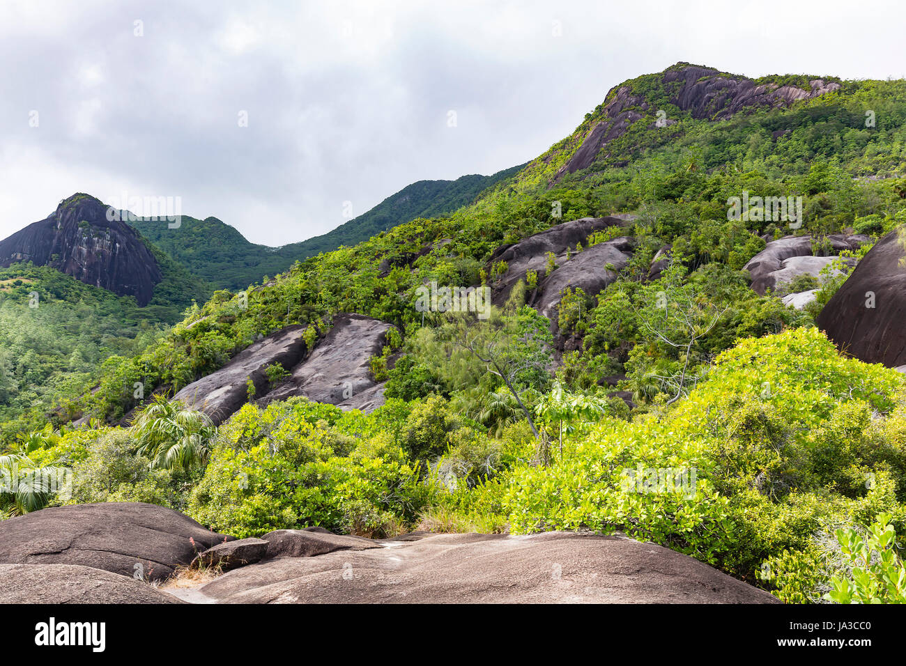Granite rock at Mount Copolia in Mahe, Seychelles Stock Photo - Alamy