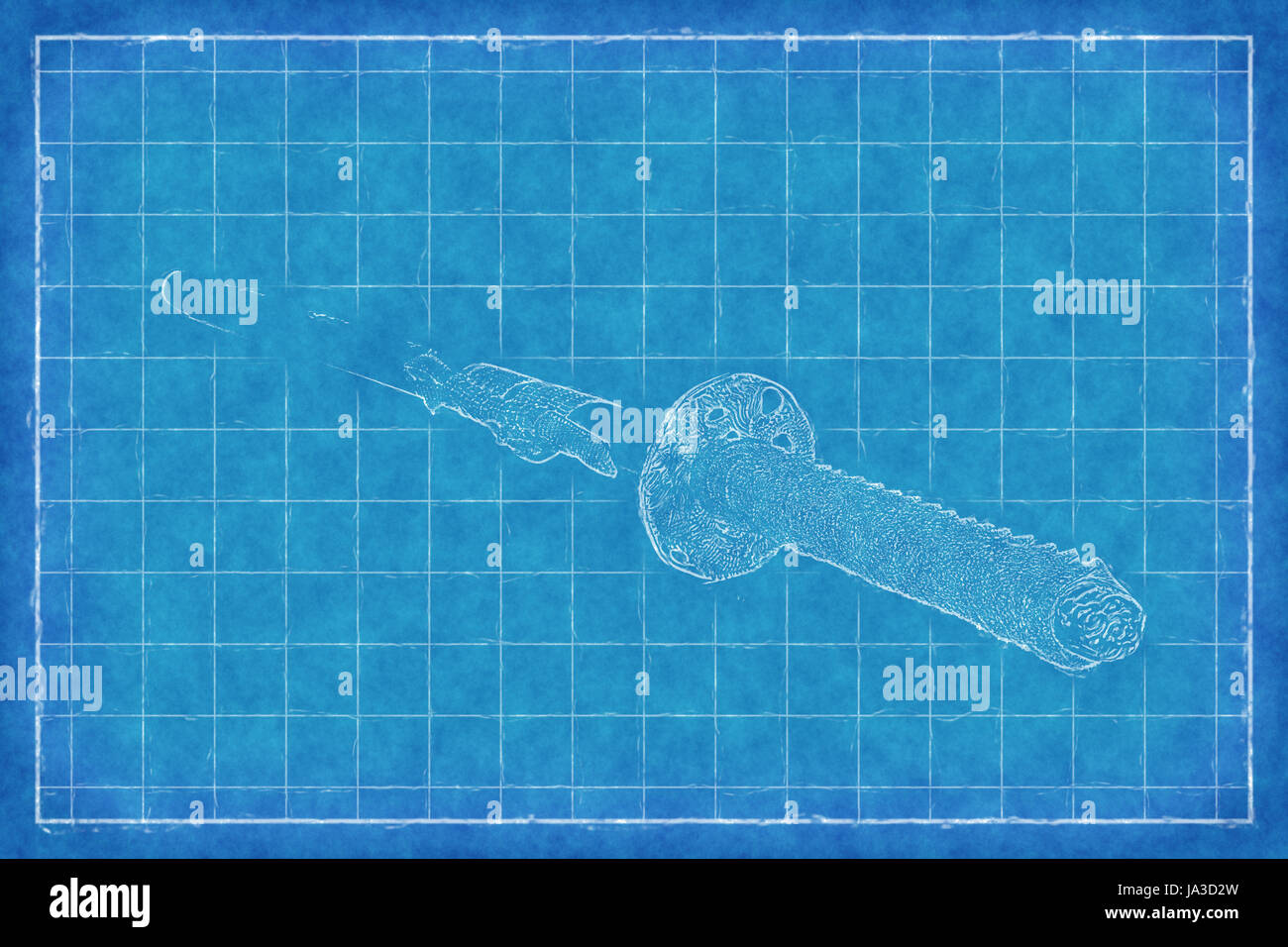 Ancient swardAncient sward - Blue Print - Blue Print Stock Photo - Alamy