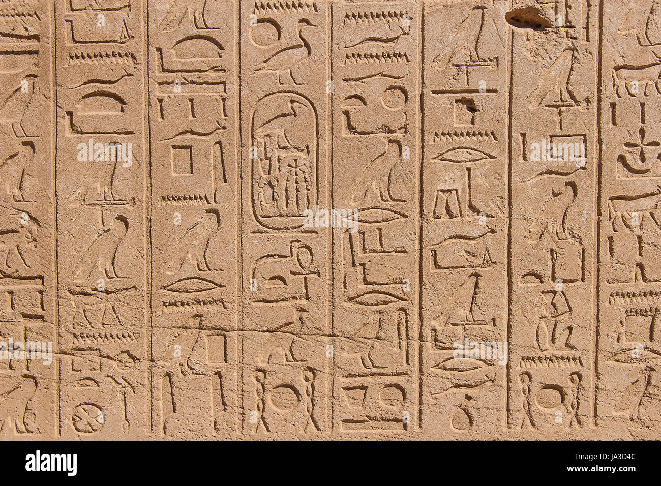 blue, write, wrote, writing, writes, travel, historical, religion ...