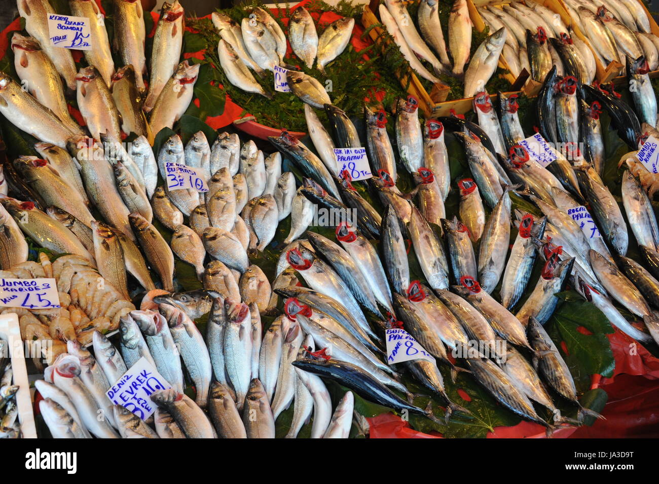 fresh fish in istanbul - turkey Stock Photo - Alamy
