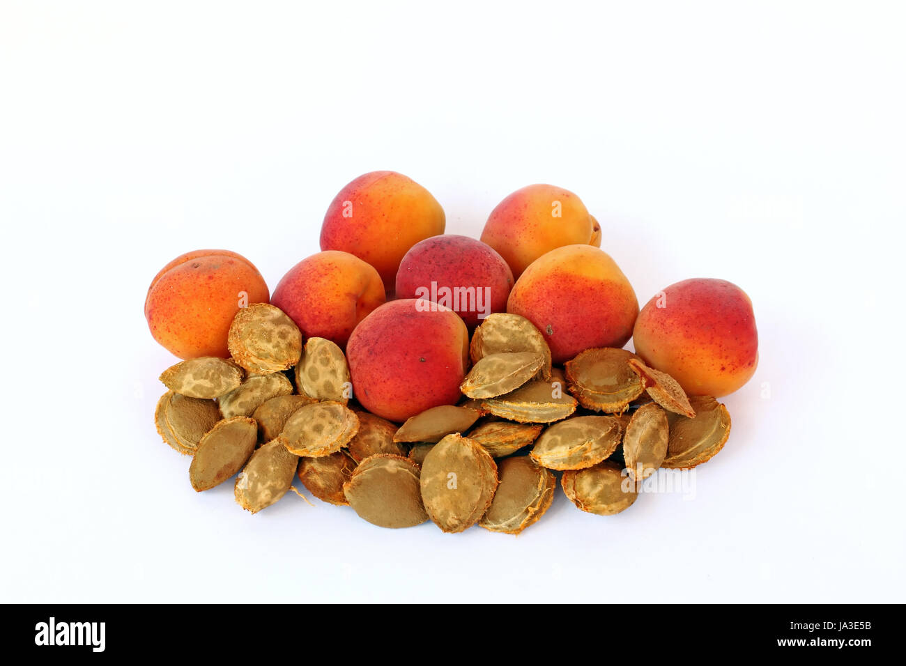 food, aliment, isolated, shell, ripe, fruit, seed, apricot, organic ...