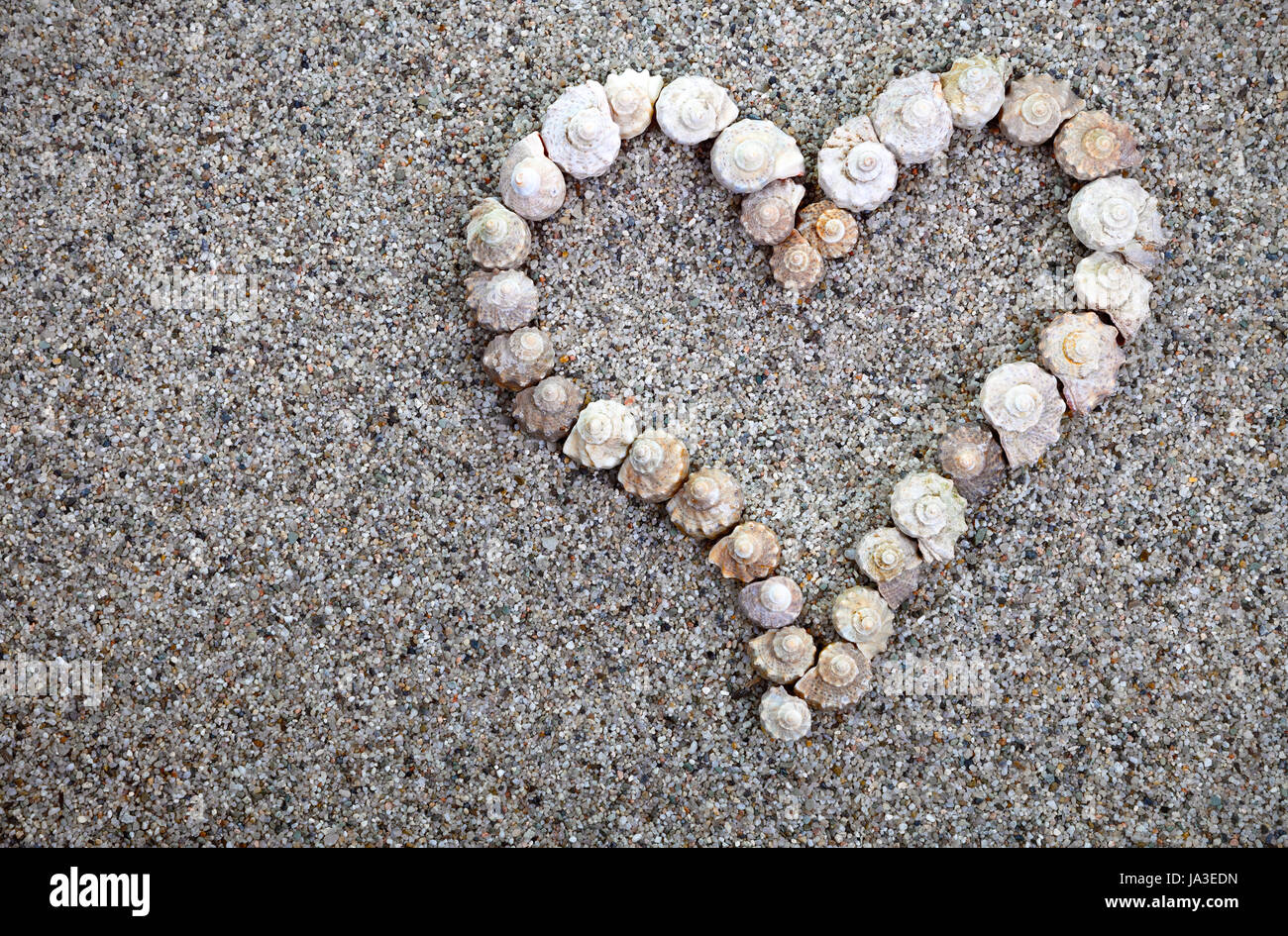 beach, seaside, the beach, seashore, shell, shape, design, shaping ...