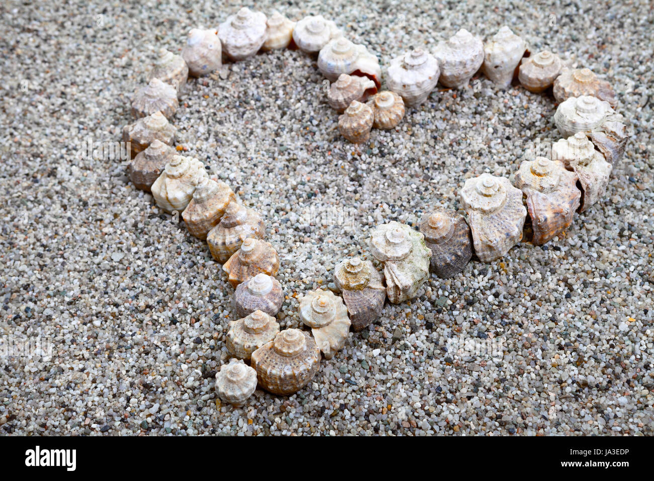 beach, seaside, the beach, seashore, shell, shape, design, shaping ...