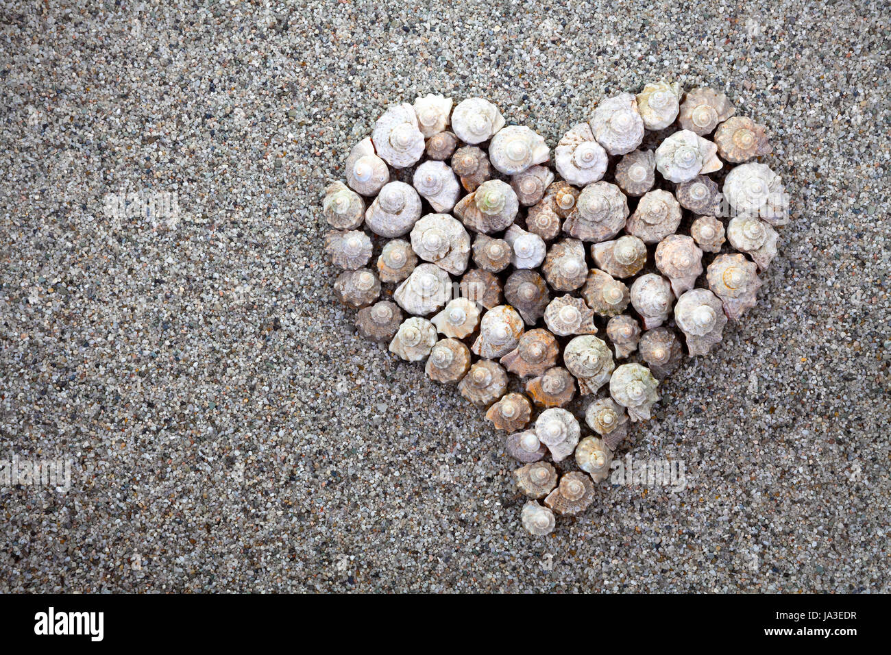 beach, seaside, the beach, seashore, shell, shape, design, shaping ...
