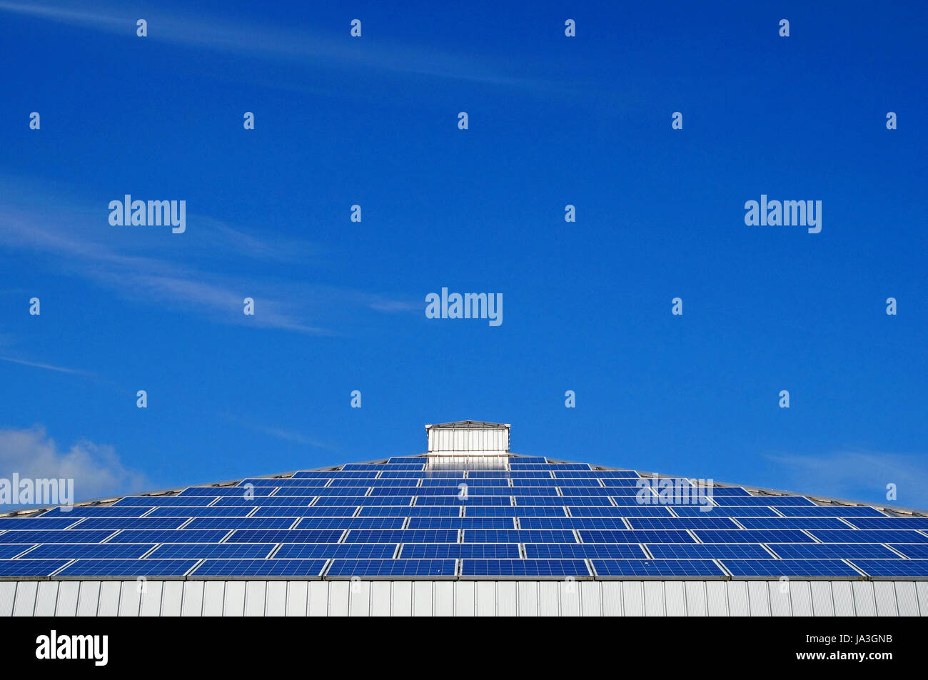 big, large, enormous, extreme, powerful, imposing, immense, relevant ...