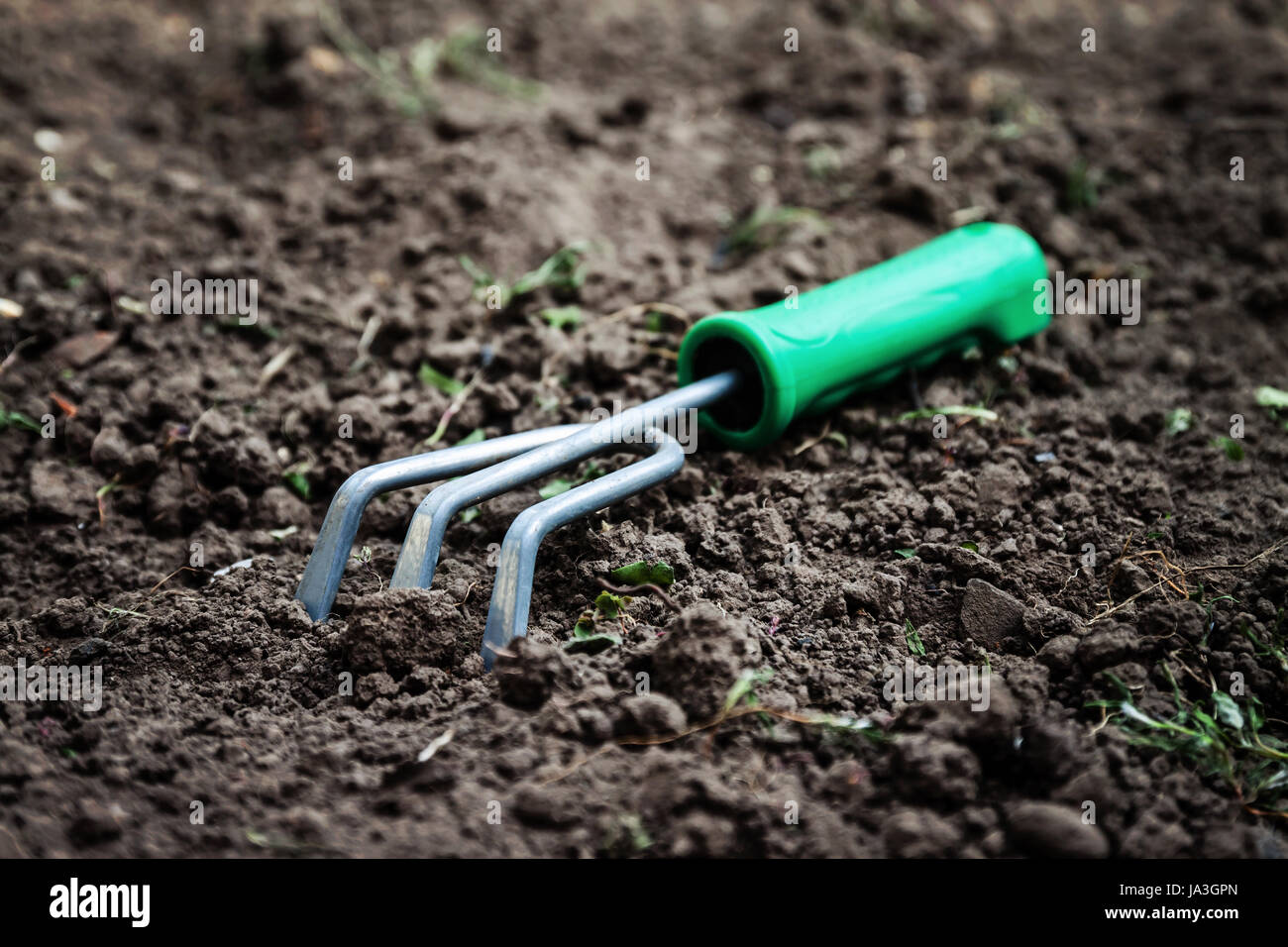 Garden fork, rake lying on the ground, top view, close-up Stock Photo ...