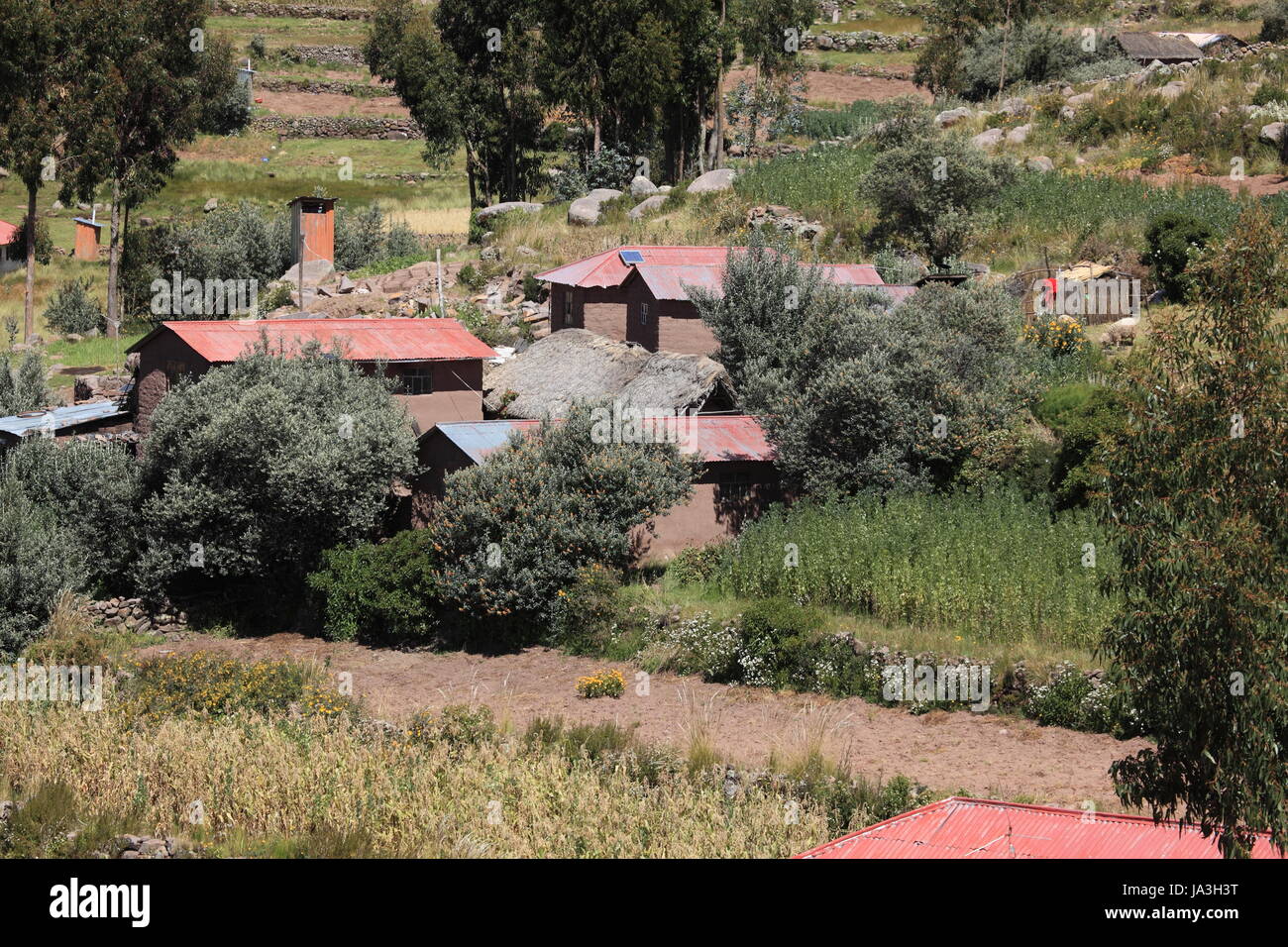 agriculture, farming, terraces, south america, peru, bolivia, community ...