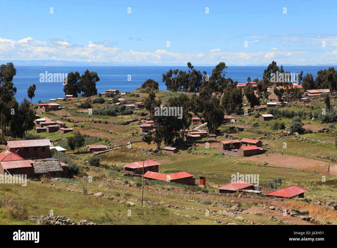 agriculture, farming, terraces, south america, peru, bolivia, community ...
