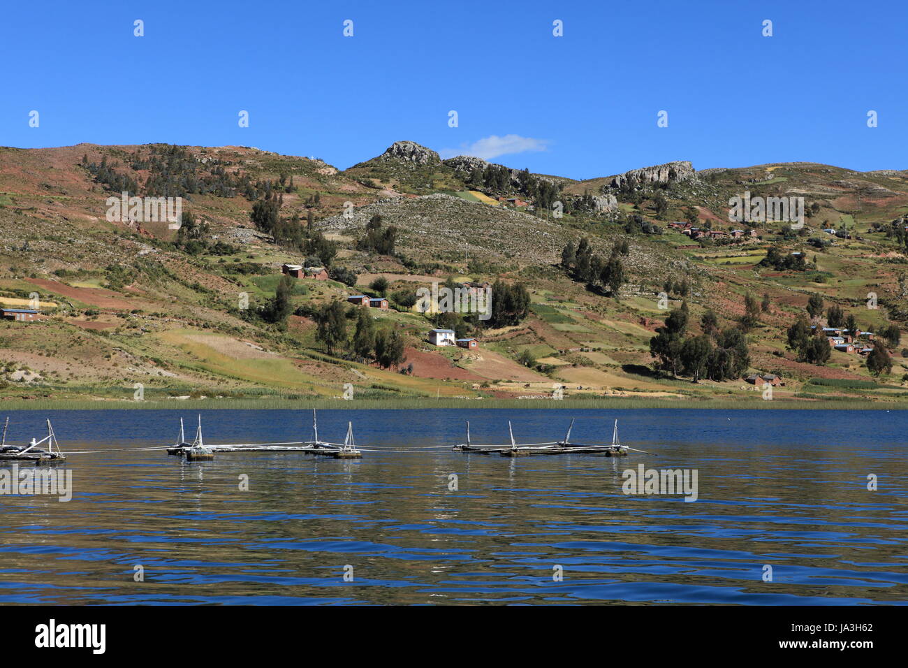 agriculture, farming, terraces, south america, peru, bolivia, community ...