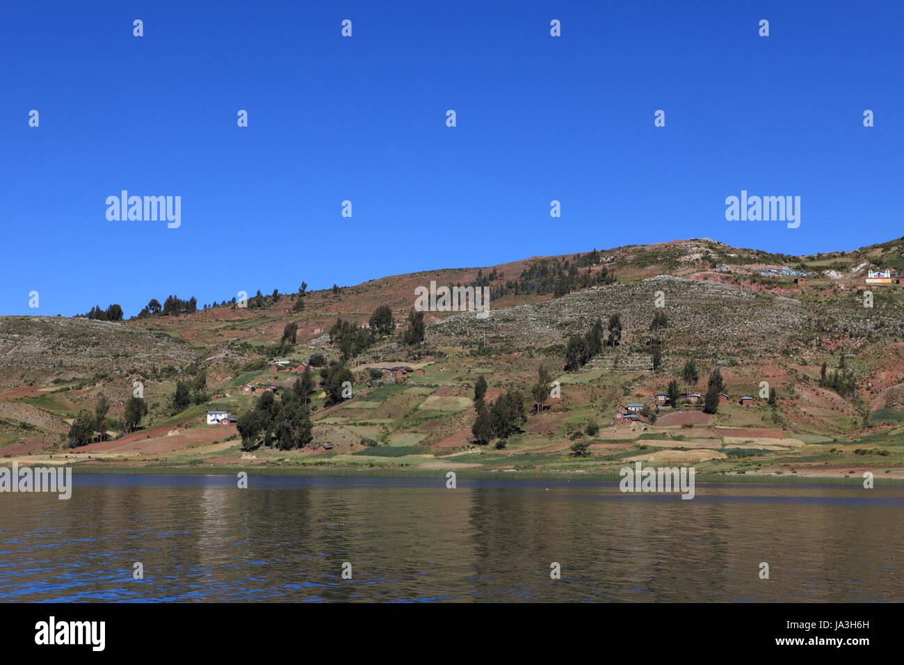 agriculture, farming, terraces, south america, peru, bolivia, community ...