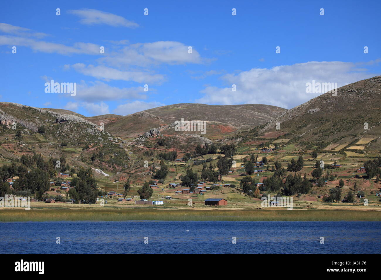agriculture, farming, terraces, south america, peru, bolivia, community ...