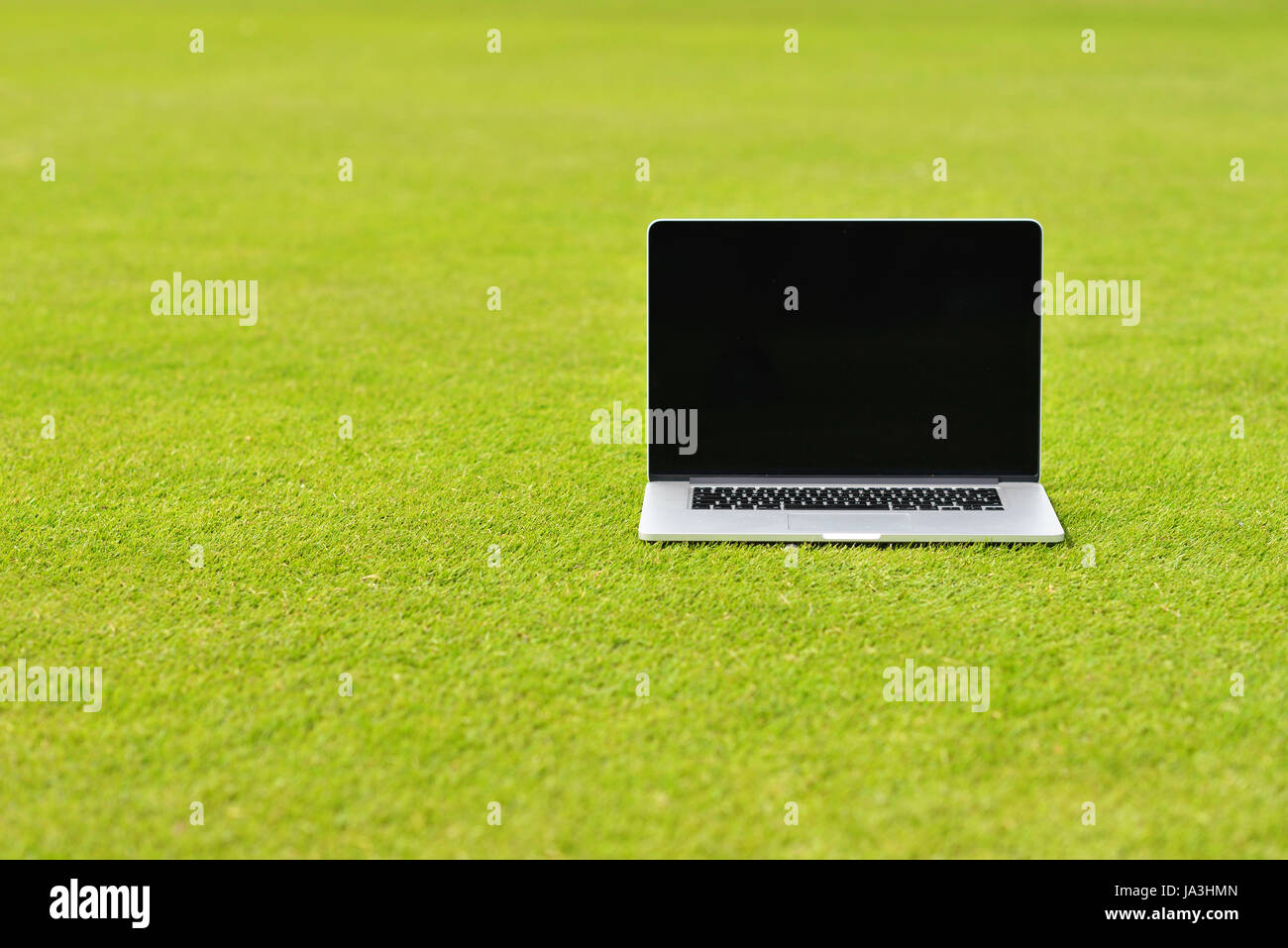 blue, office, laptop, notebook, computers, computer, keyboard, PC ...