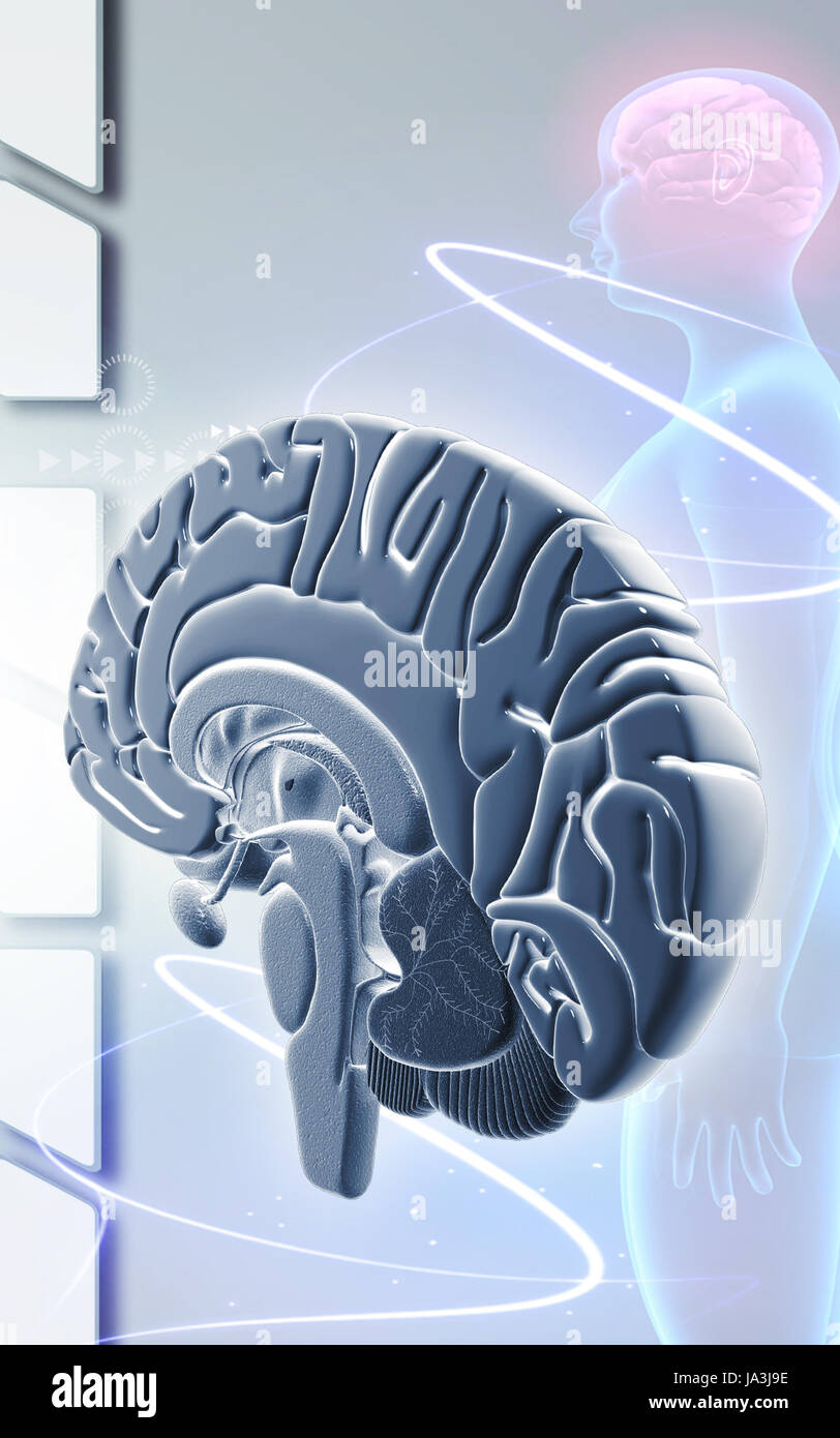 health, medicinally, medical, graphics, colour, human, human being ...