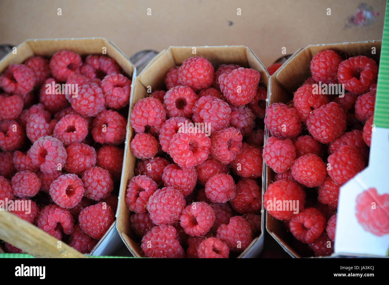 fruit, raspberry, fructose, eating, eat, eats, red, eating, eat, eats ...