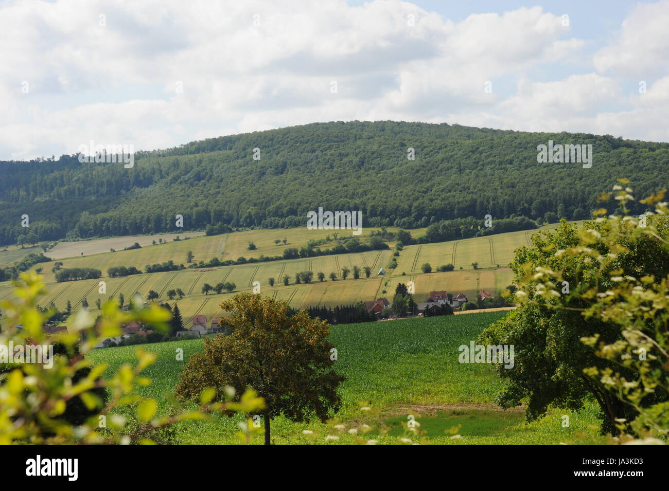 harvest time for crops Stock Photo - Alamy