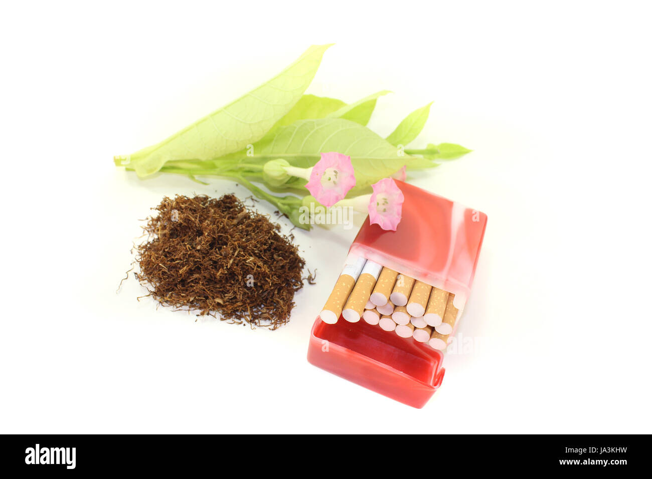 leaf, tobacco, cigarettes, cultivation of tobacco, leaf, culture, green ...