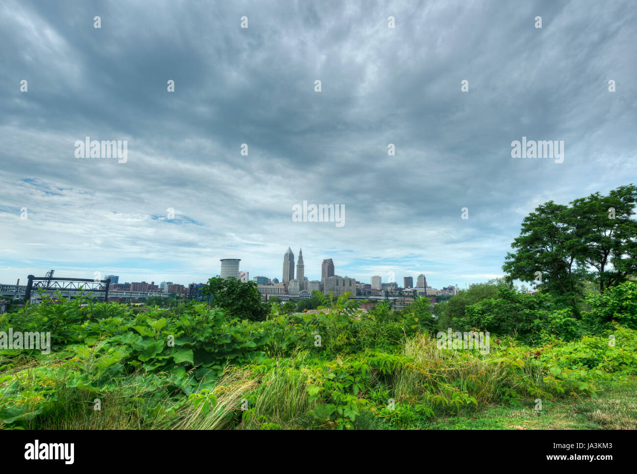 city, town, tree, trees, bushes, lawn, green, nature, cleveland, ohio ...