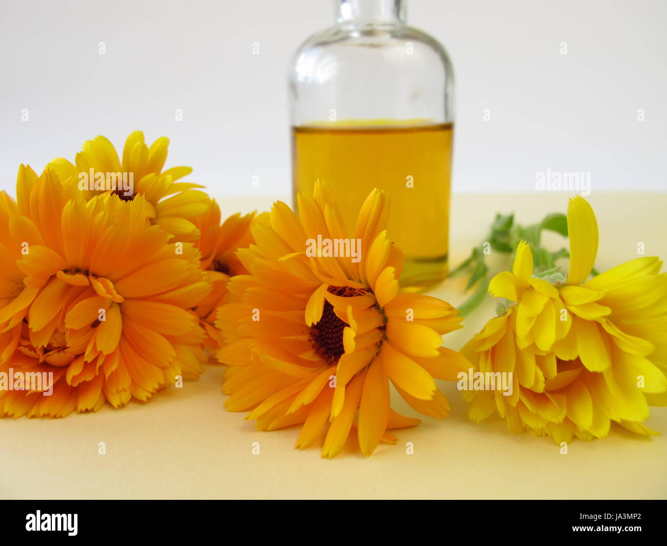 Calendula oils hi-res stock photography and images - Alamy
