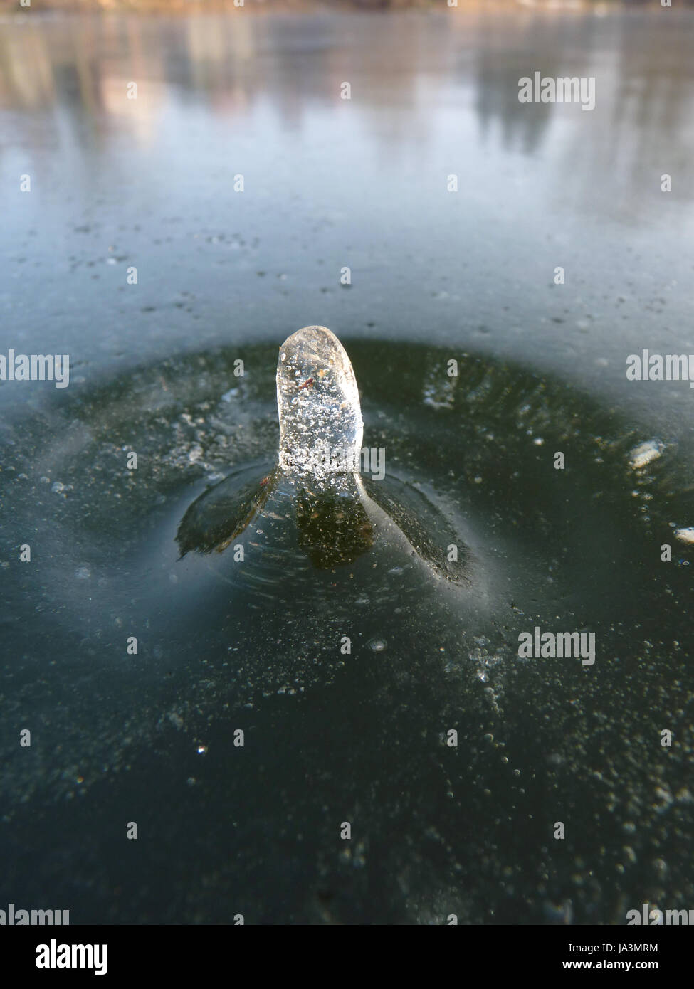 winter, cold, ice, frost, frozen, wintry, drop, drip, drops, seeping ...