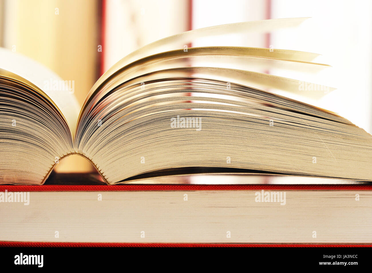 education, library, reading, sheet of paper, paper, book, school ...