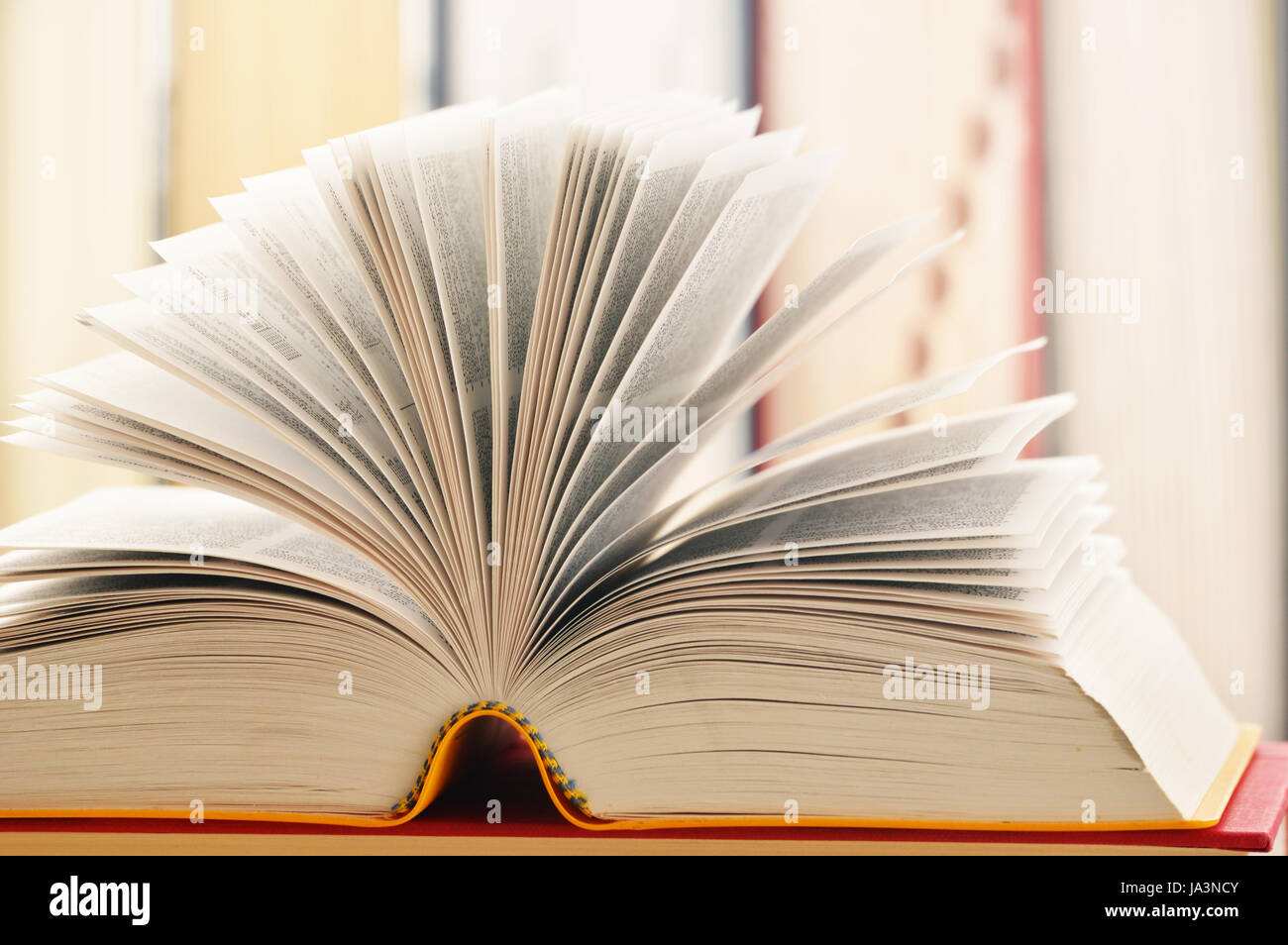 education, library, reading, sheet of paper, paper, book, school ...