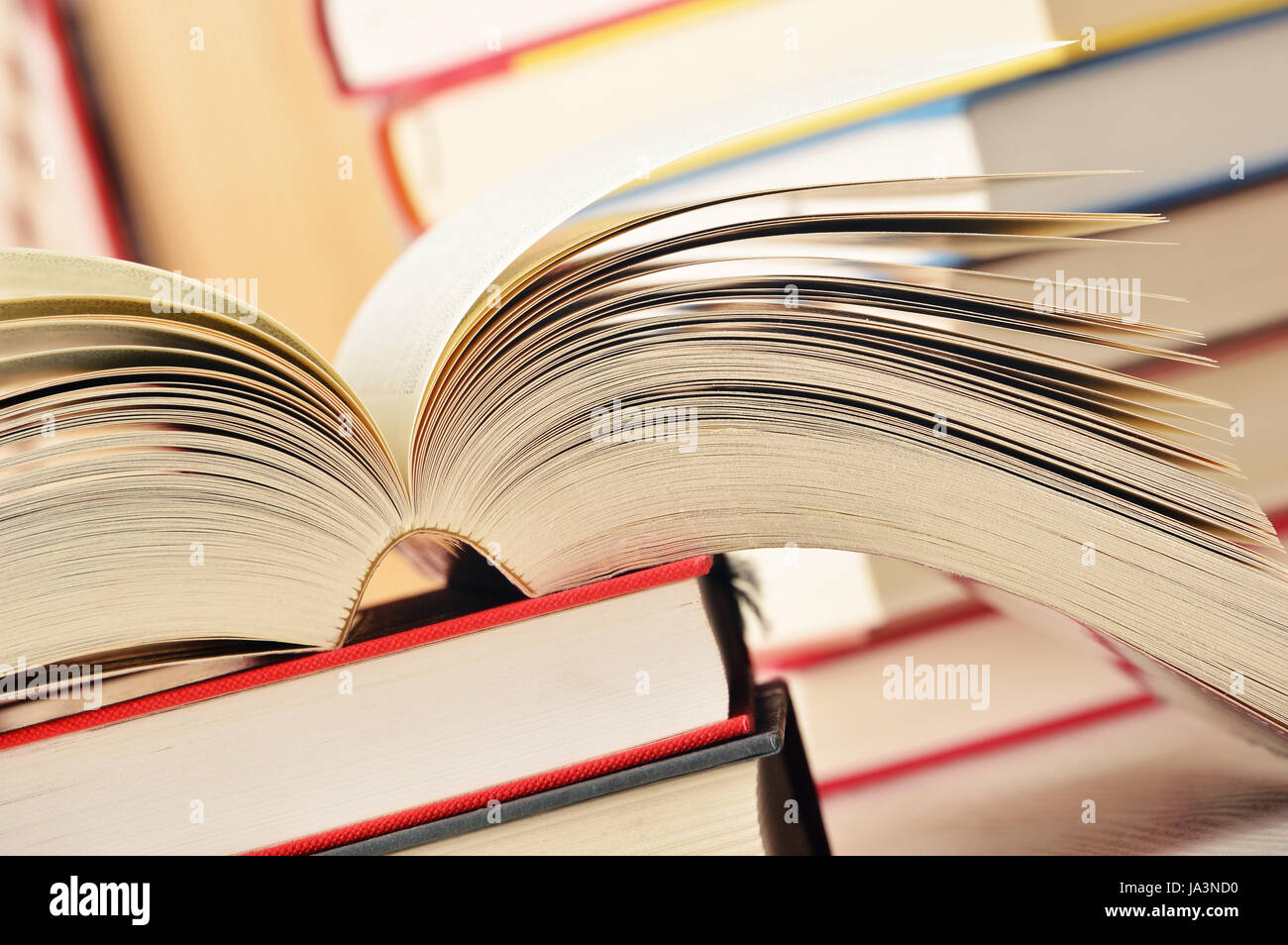 education, library, reading, sheet of paper, paper, book, school ...