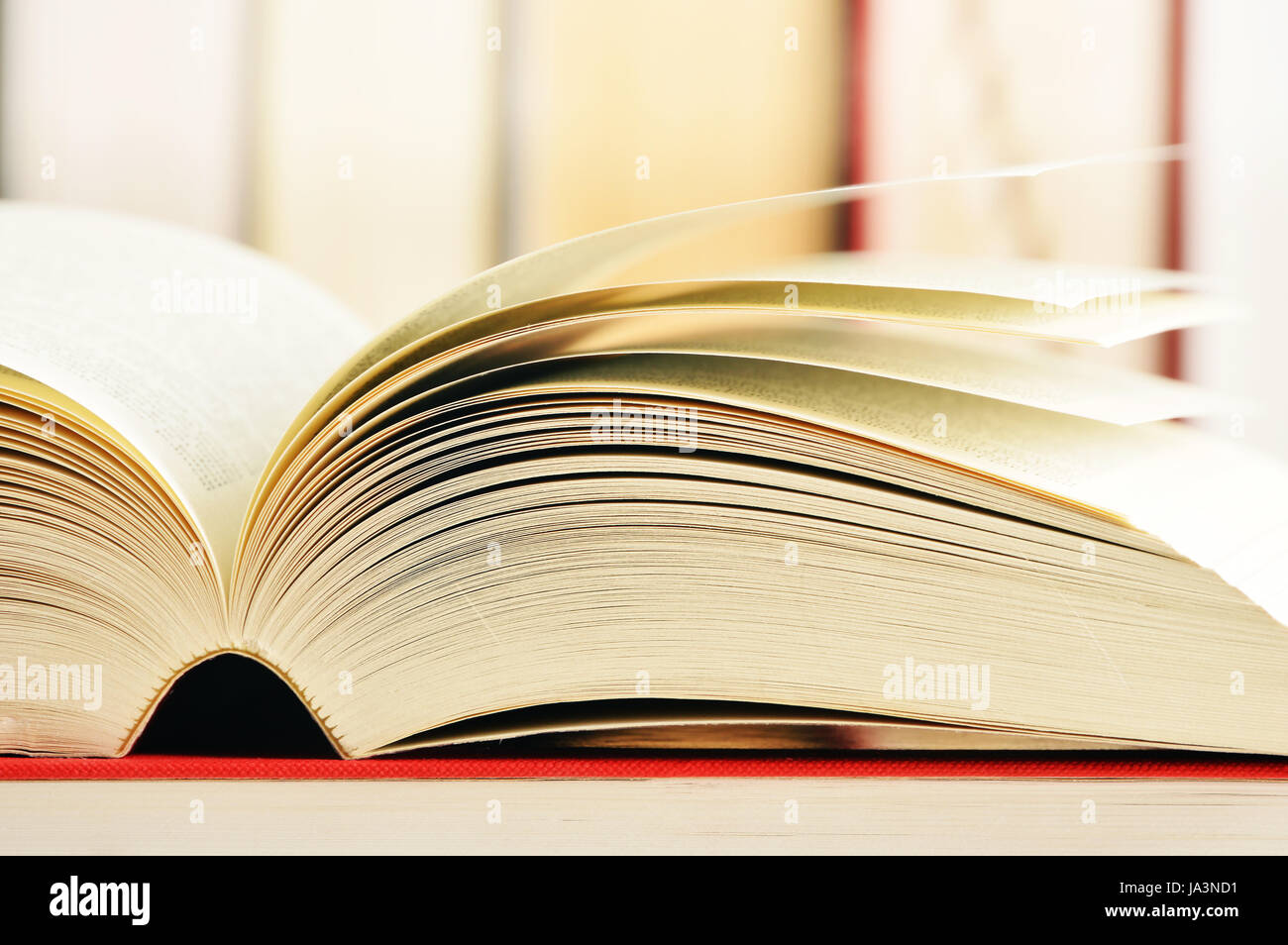 education, library, reading, sheet of paper, paper, book, school ...