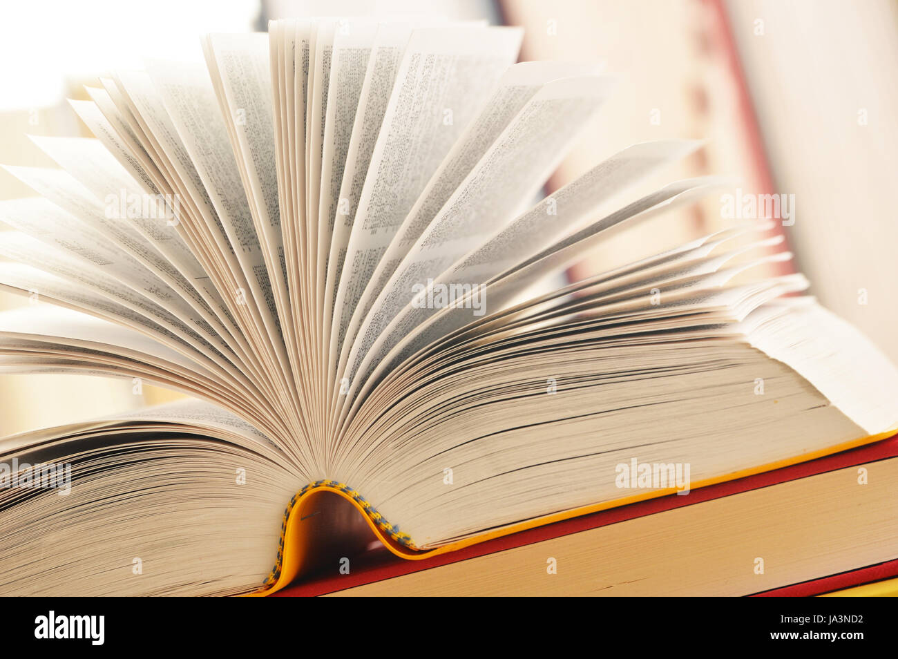 education, library, reading, sheet of paper, paper, book, school ...