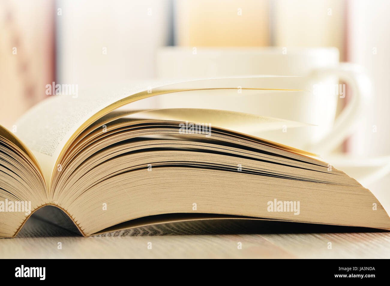 education, library, reading, sheet of paper, paper, book, school ...