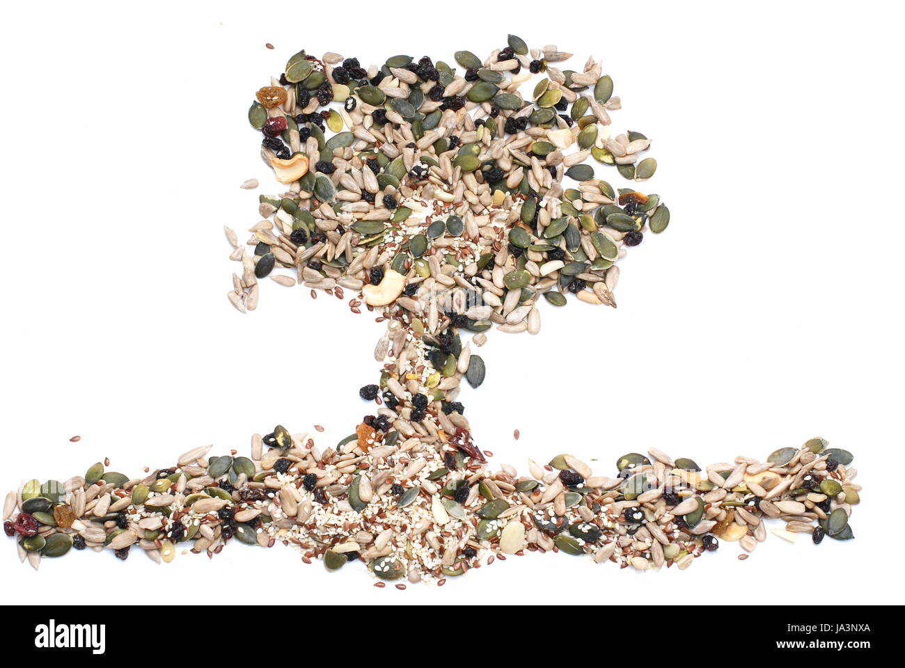 centre punch, sunflower cores, kernels, germs, grain, cereal, food ...