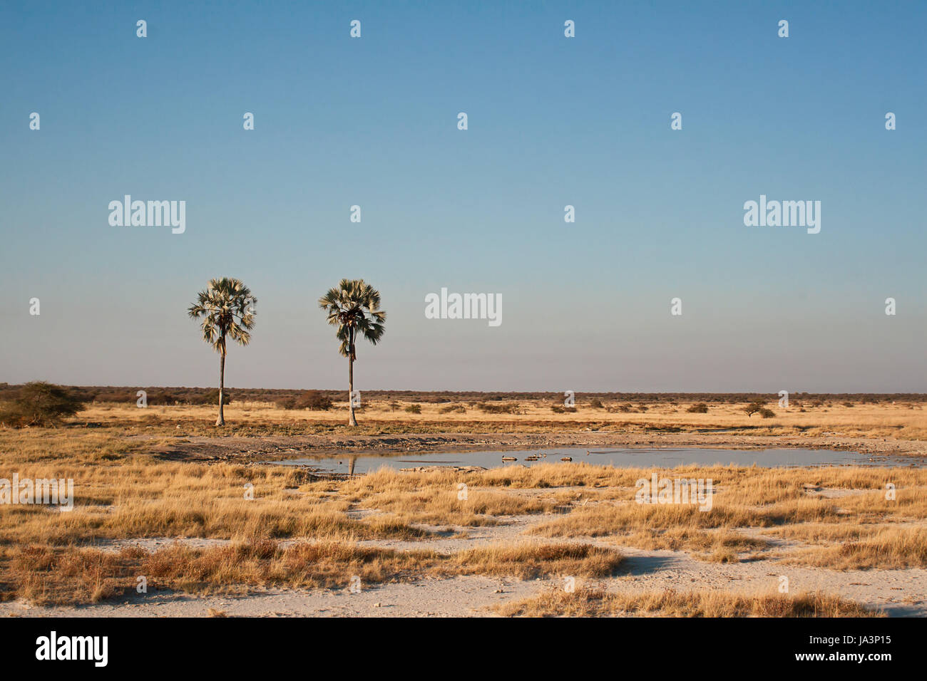 africa, namibia, scenery, countryside, nature, travel, desert ...