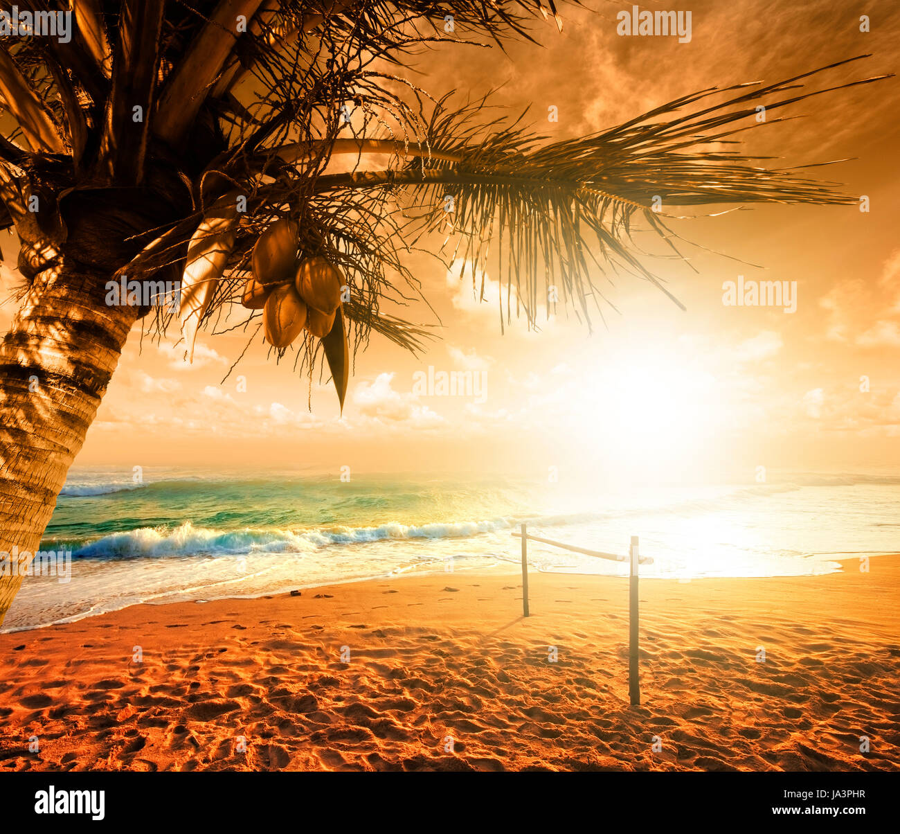 sunset, beach, seaside, the beach, seashore, sunrise, reflection ...