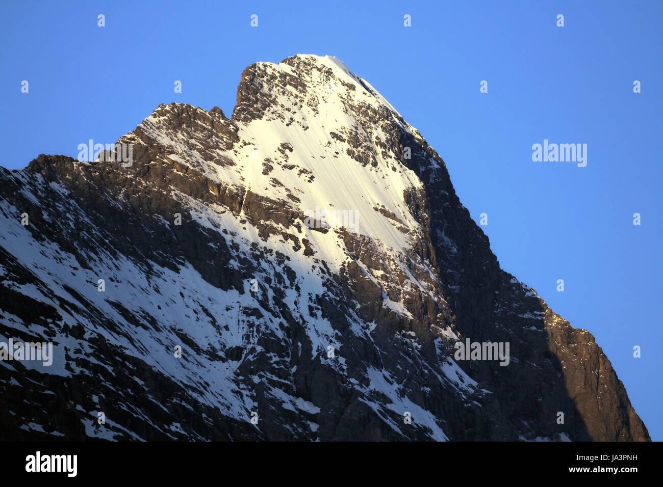 famous, alps, summit, switzerland, climax, peak, rise, climb, climbing ...
