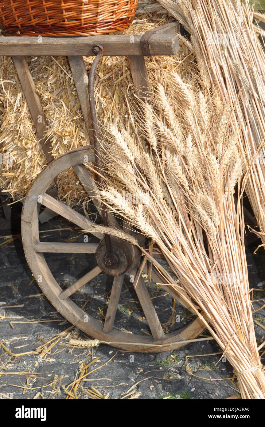 wheel, nostalgia, cartwheel, sheafs, cart, harvest, grain, cereal, wood ...