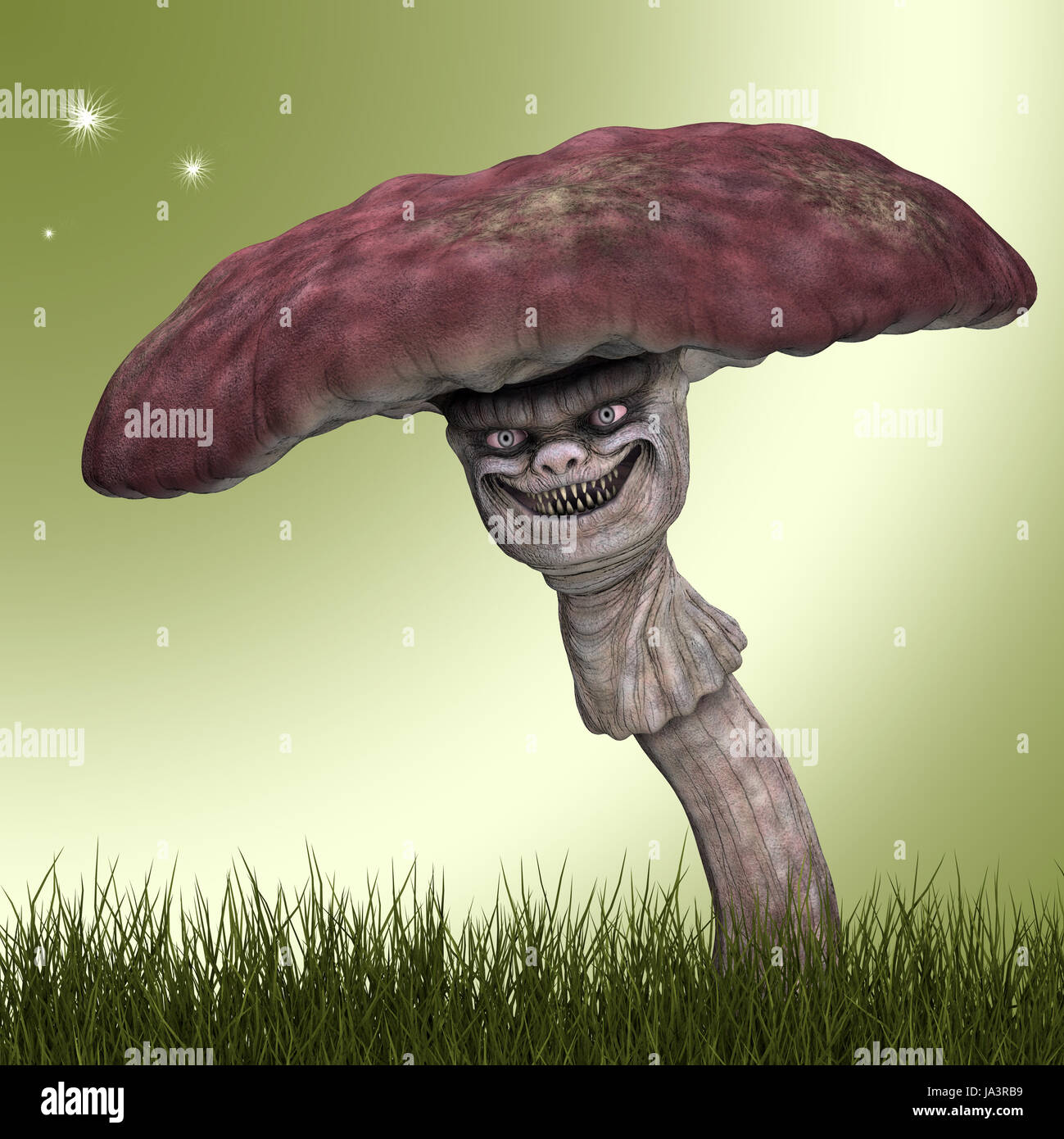 Pilz illustration hi-res stock photography and images - Alamy