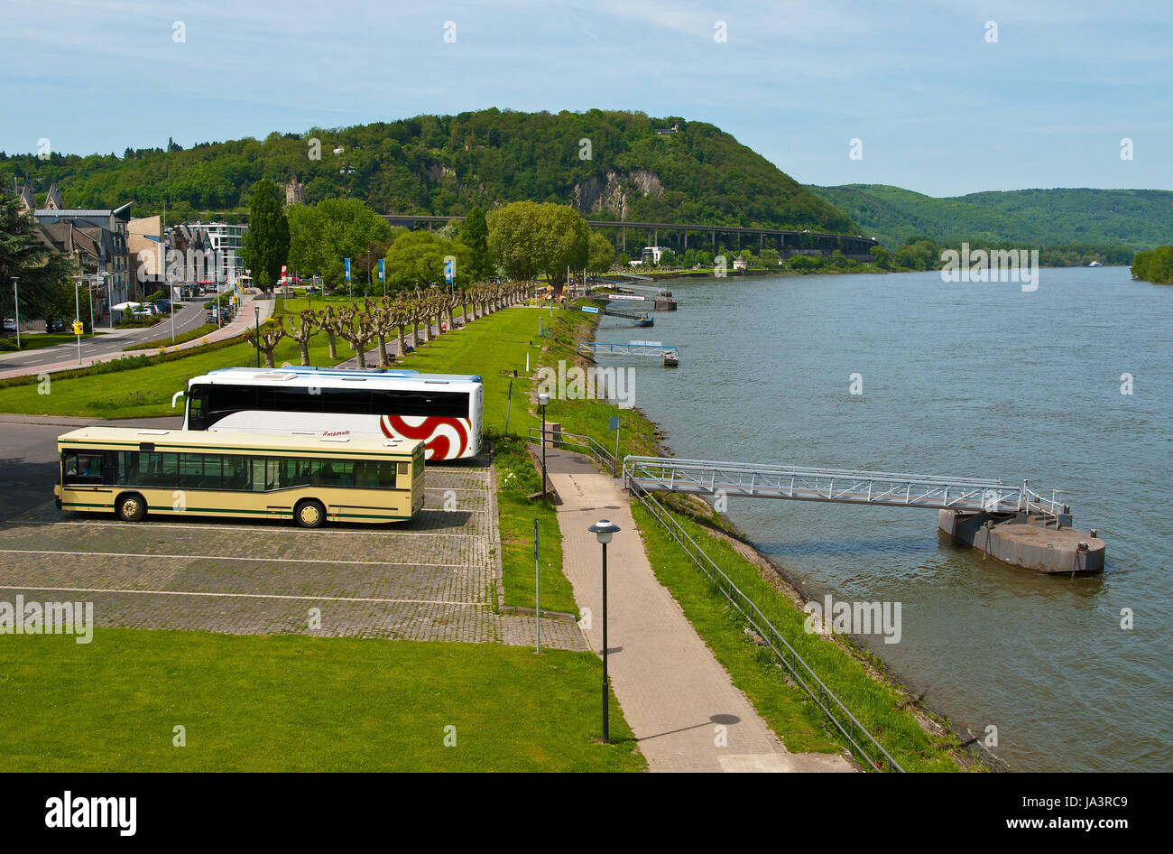rhine, romantic, promenade, river, water, rhine, tourism, romantic ...