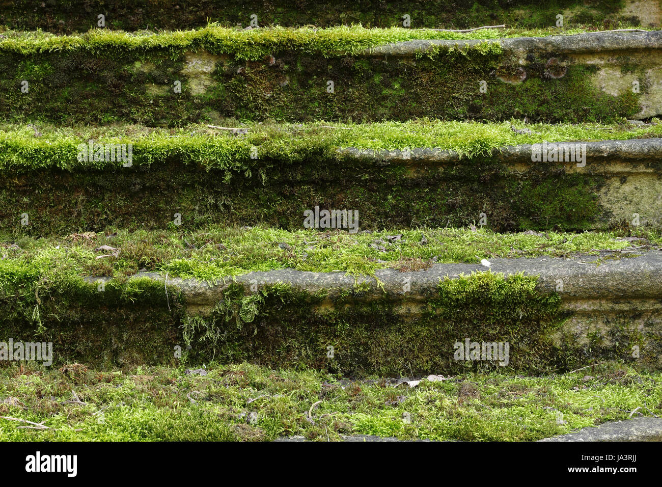 stairs, moss, weatherworn, ascent, old, step, tier, stairs, stone ...