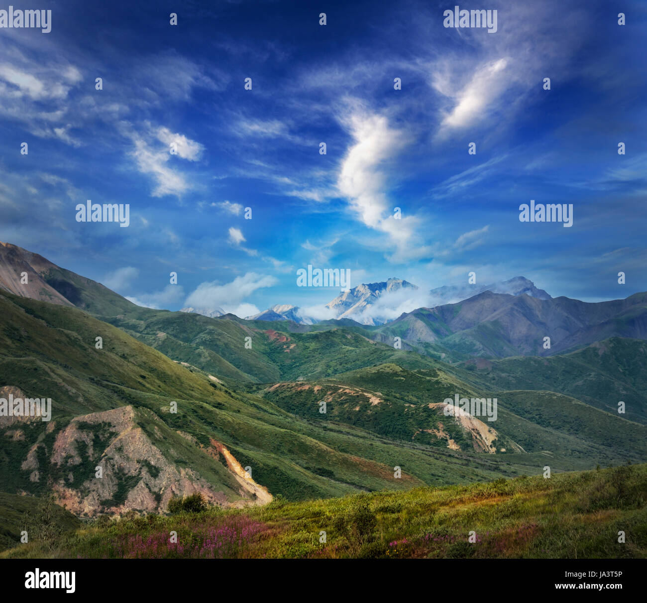 environment, enviroment, country, land, landscape, scenery, countryside ...