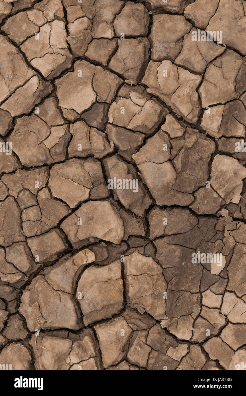 mud, dried, pattern, globe, planet, earth, world, backdrop, background ...