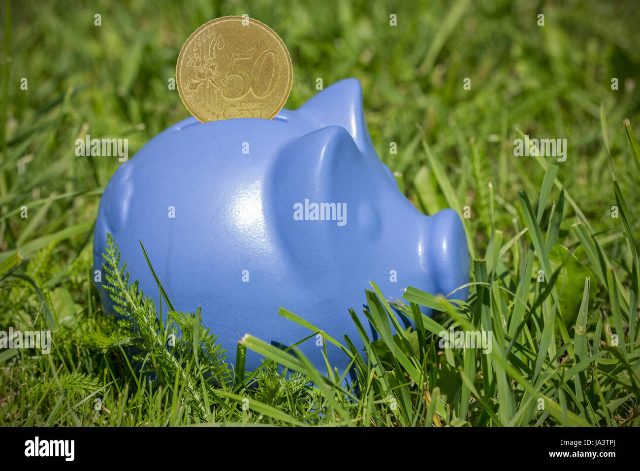 blue, economical, coin, save, budget, retirement, rich, wealthy, well ...