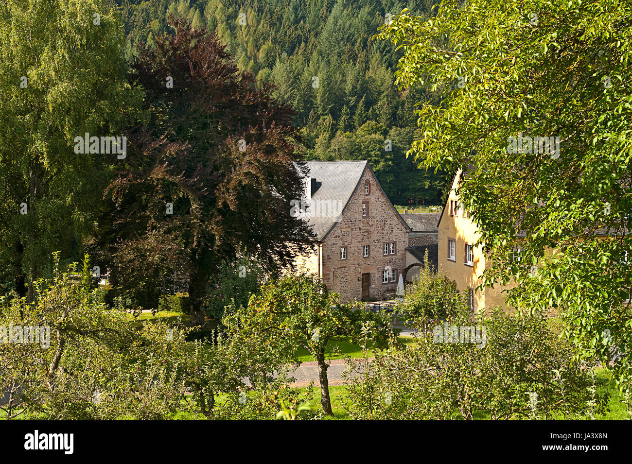 surrounded by nature Stock Photo - Alamy