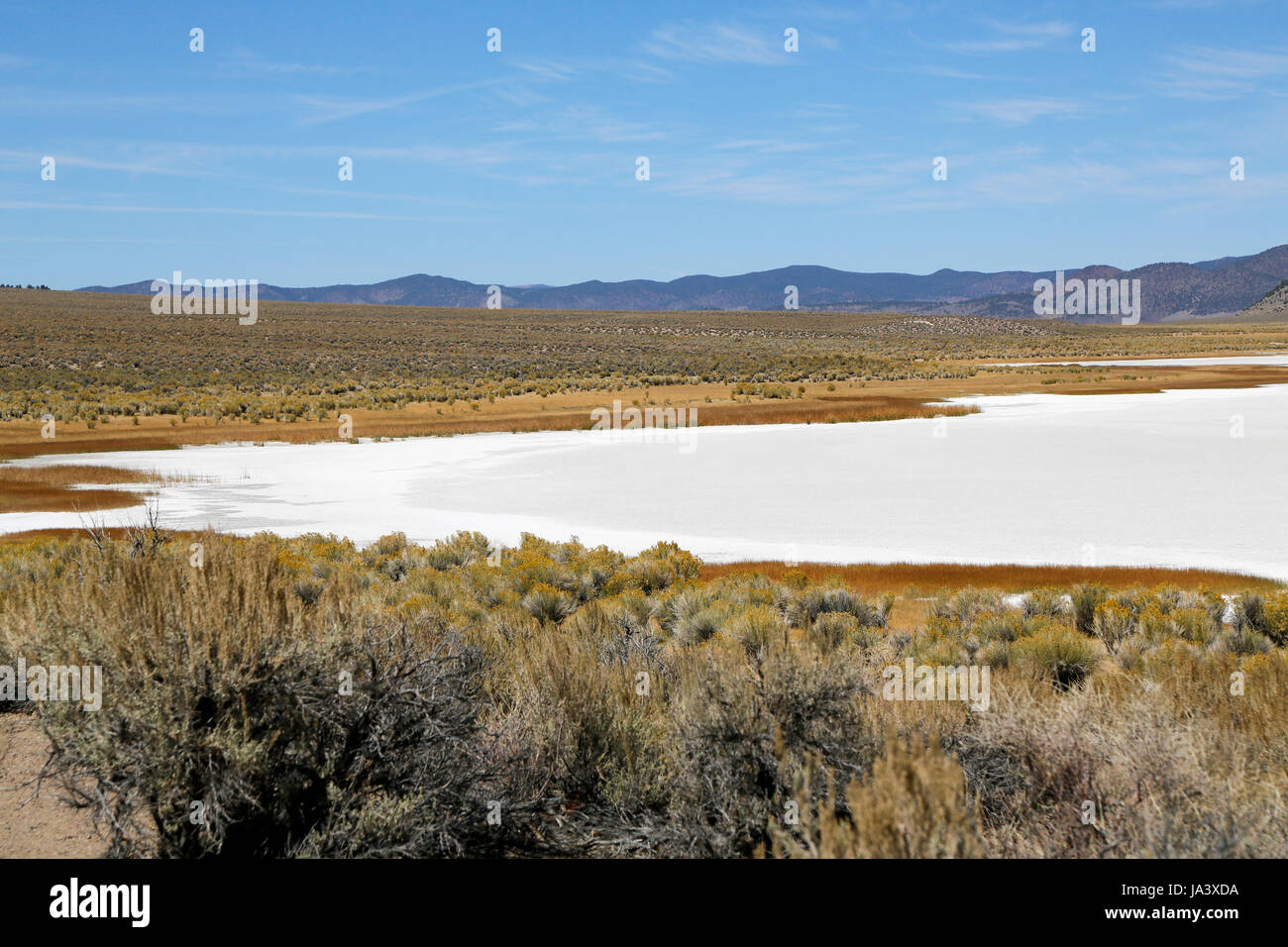 Black Alkali High Resolution Stock Photography and Images - Alamy