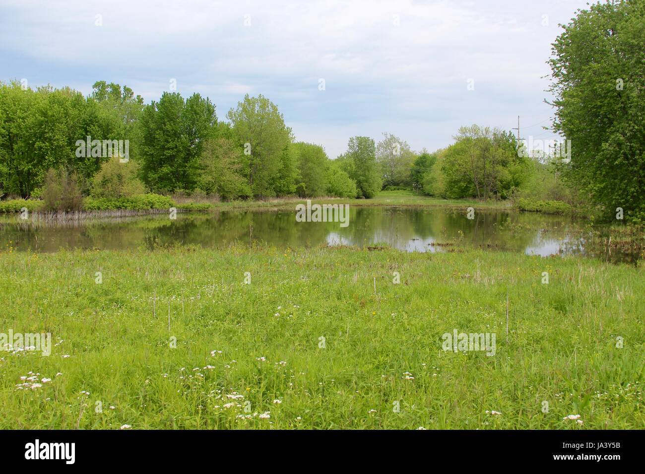 The parks creek and stream with high water with the waterfall and the ...