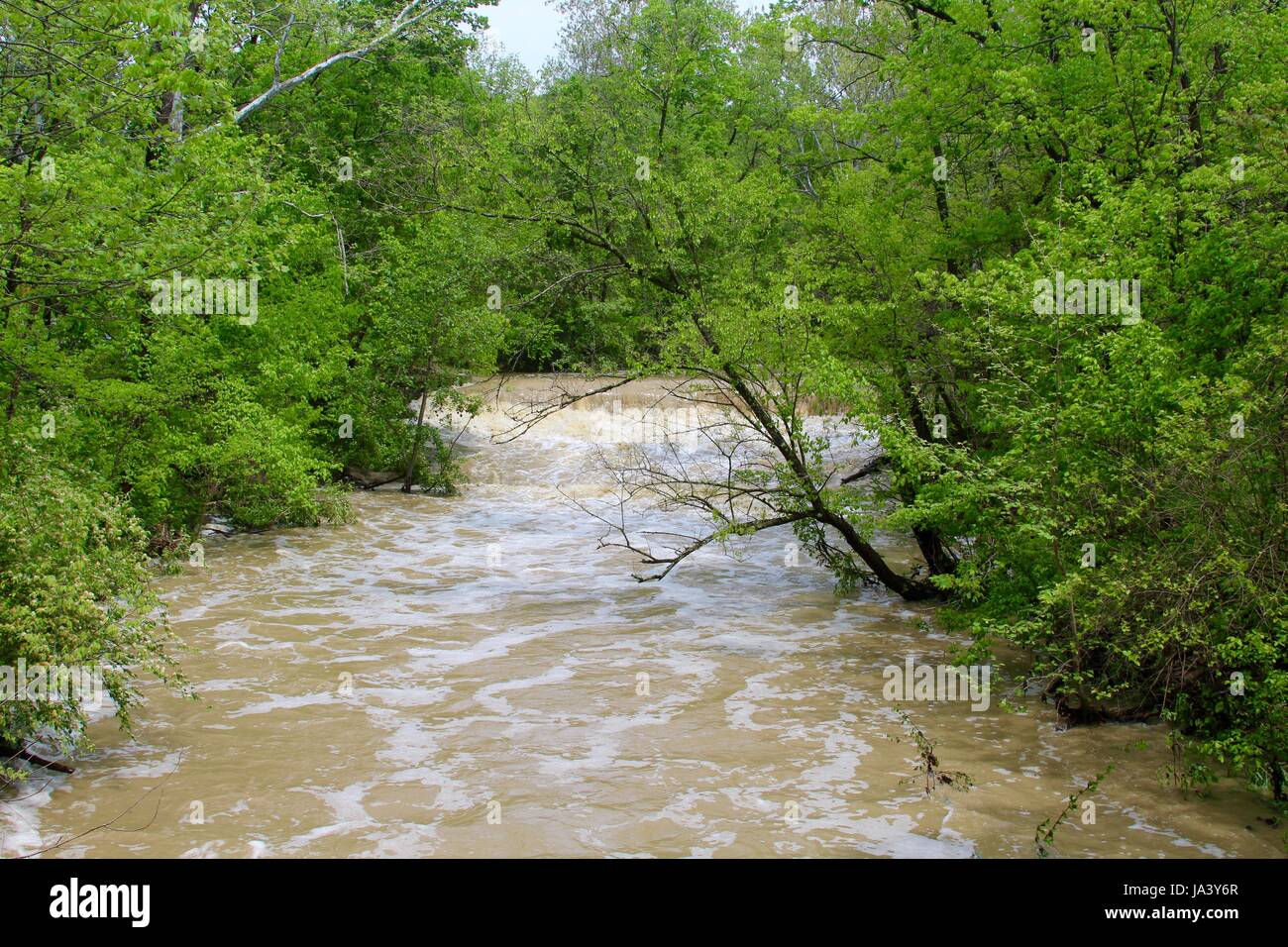 Parks creek hi-res stock photography and images - Alamy