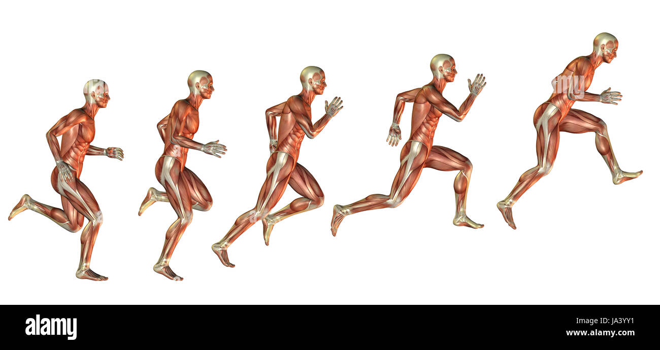 muscle study the approach to the jump Stock Photo - Alamy