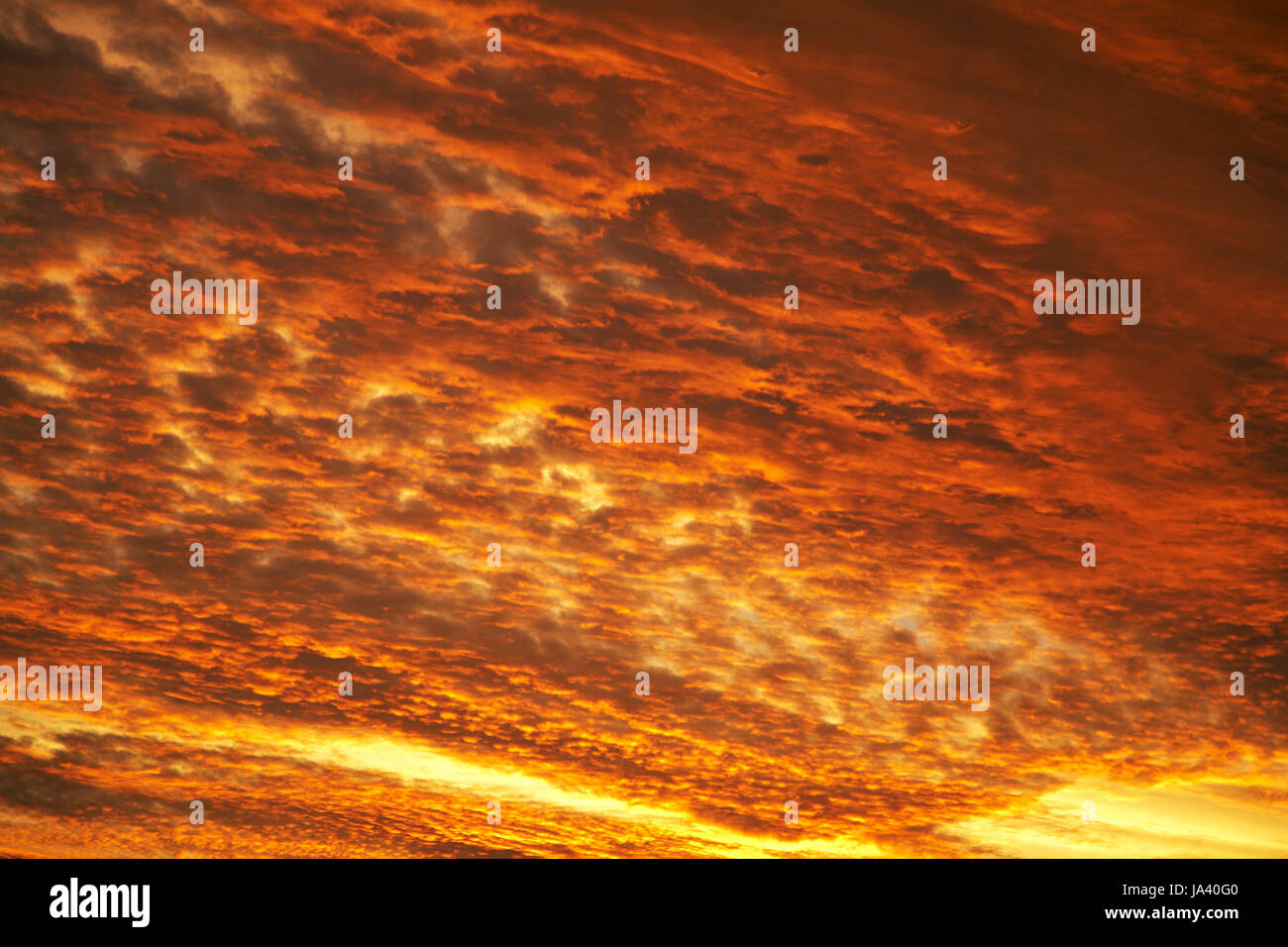 shine, shines, bright, lucent, light, serene, luminous, sunrise, red sky Stock Photo - Alamy