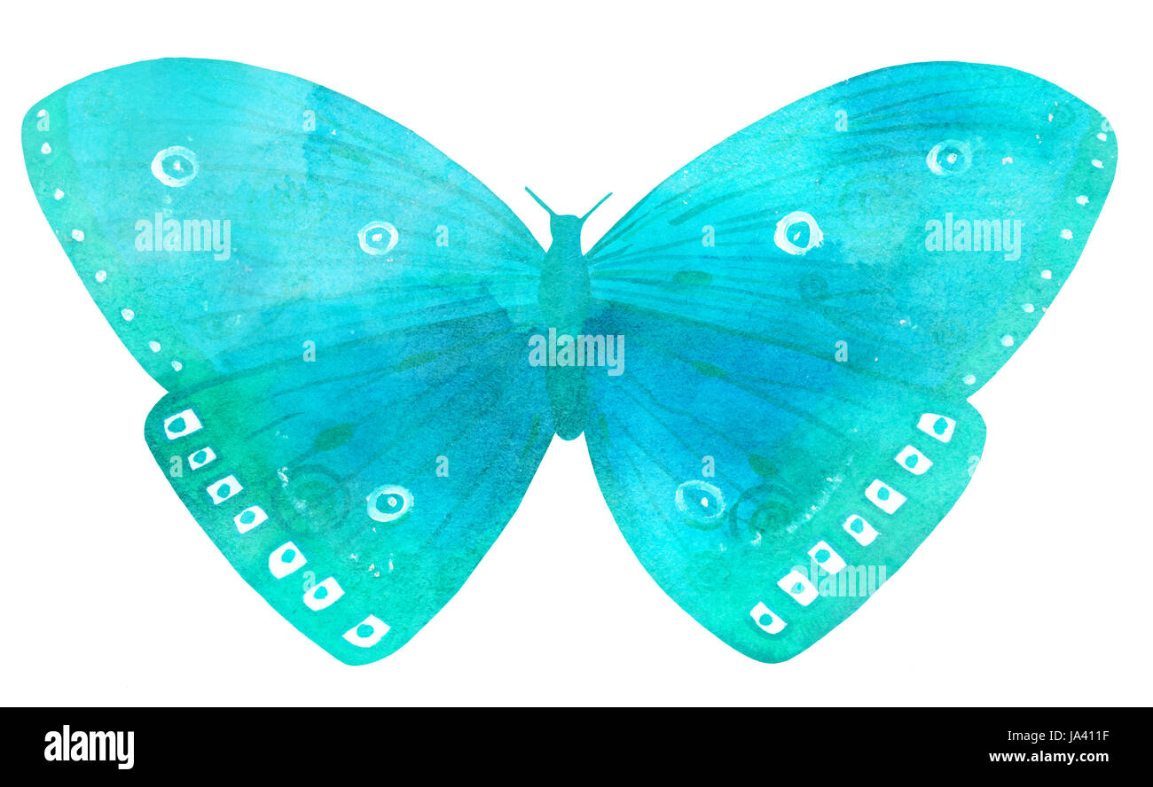 A watercolour drawing of a large vibrant turquoise butterfly, hand ...