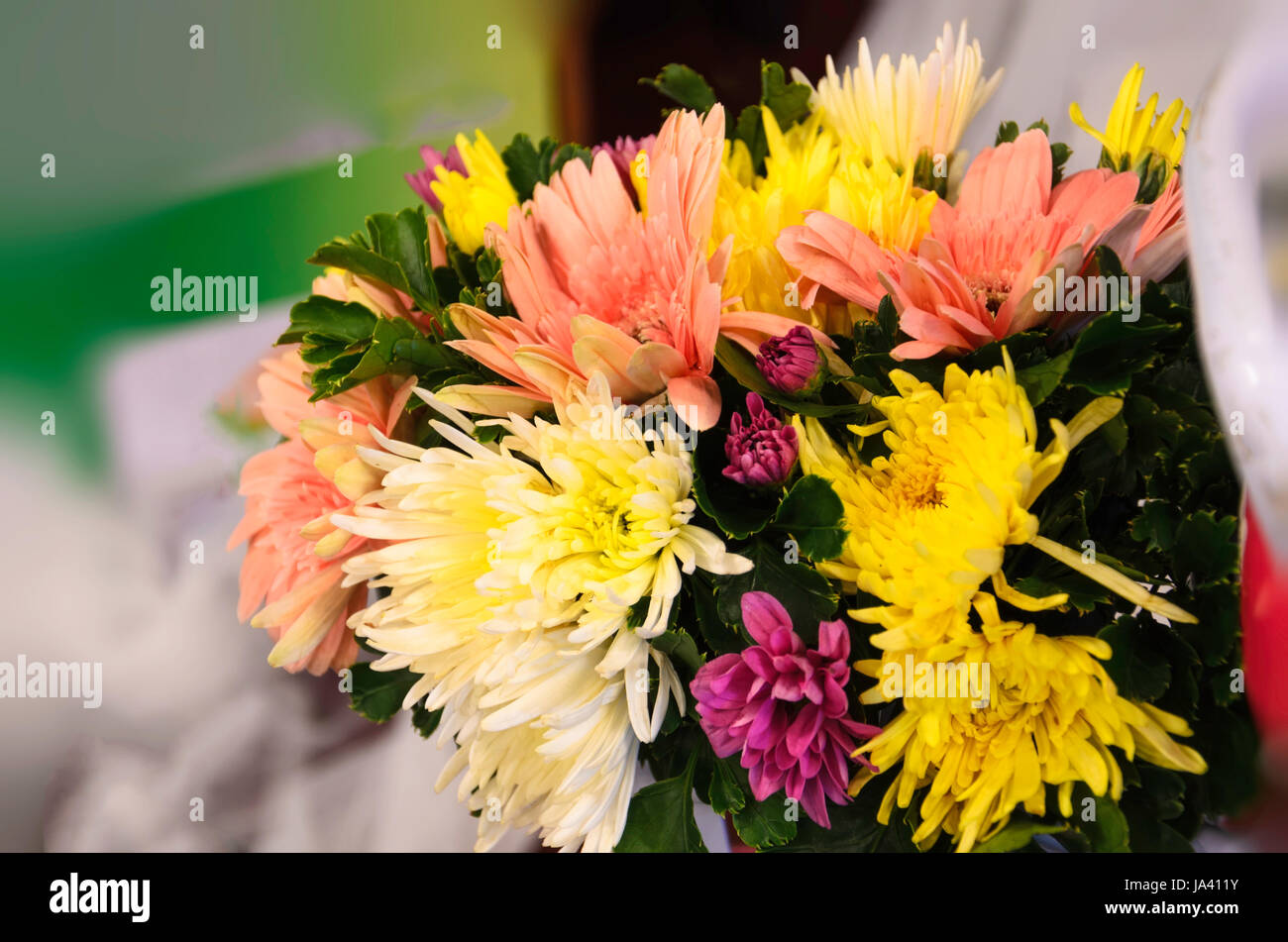 leaf, colour, flower, plant, decor, bouquet, color, colorful, nature ...